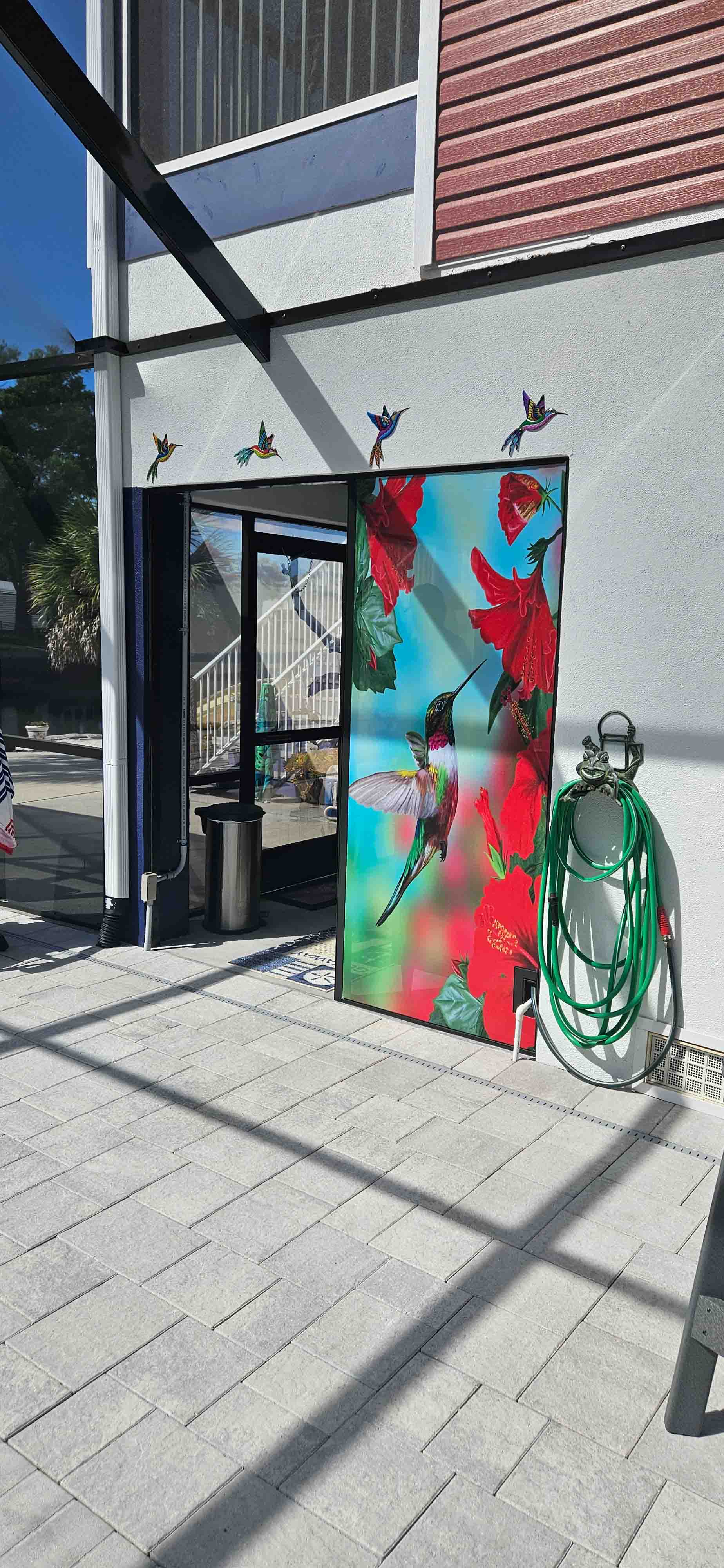 Screen Scenes - Screenpro