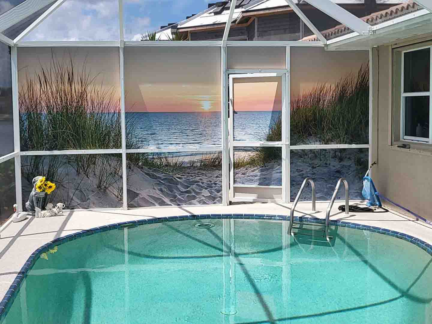 Screen Scenes - Screenpro