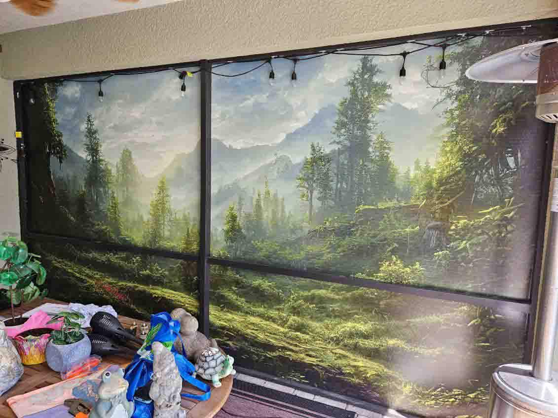 Screen Scenes - Screenpro